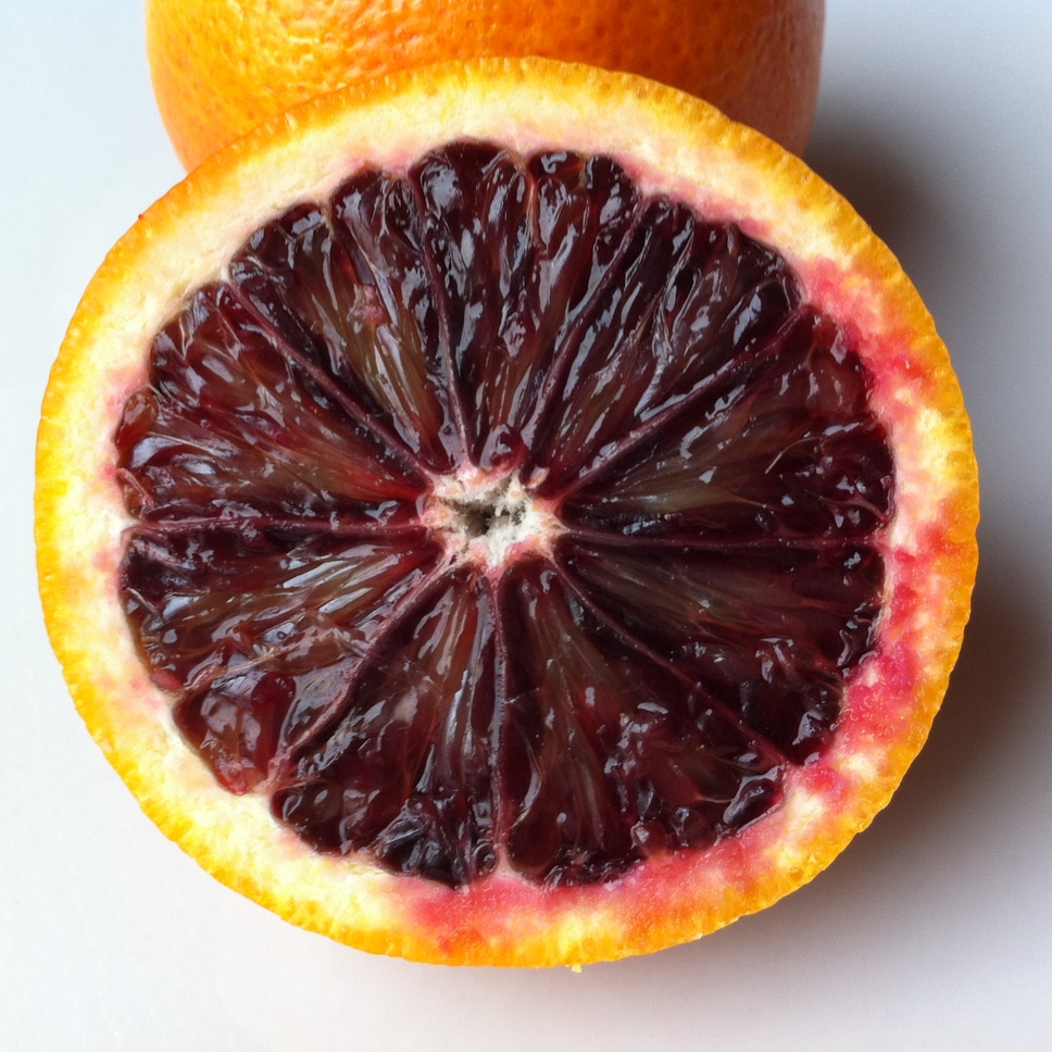 Naranja sanguina : venta Naranja sanguina / Citrus sinensis Sanguinea 1