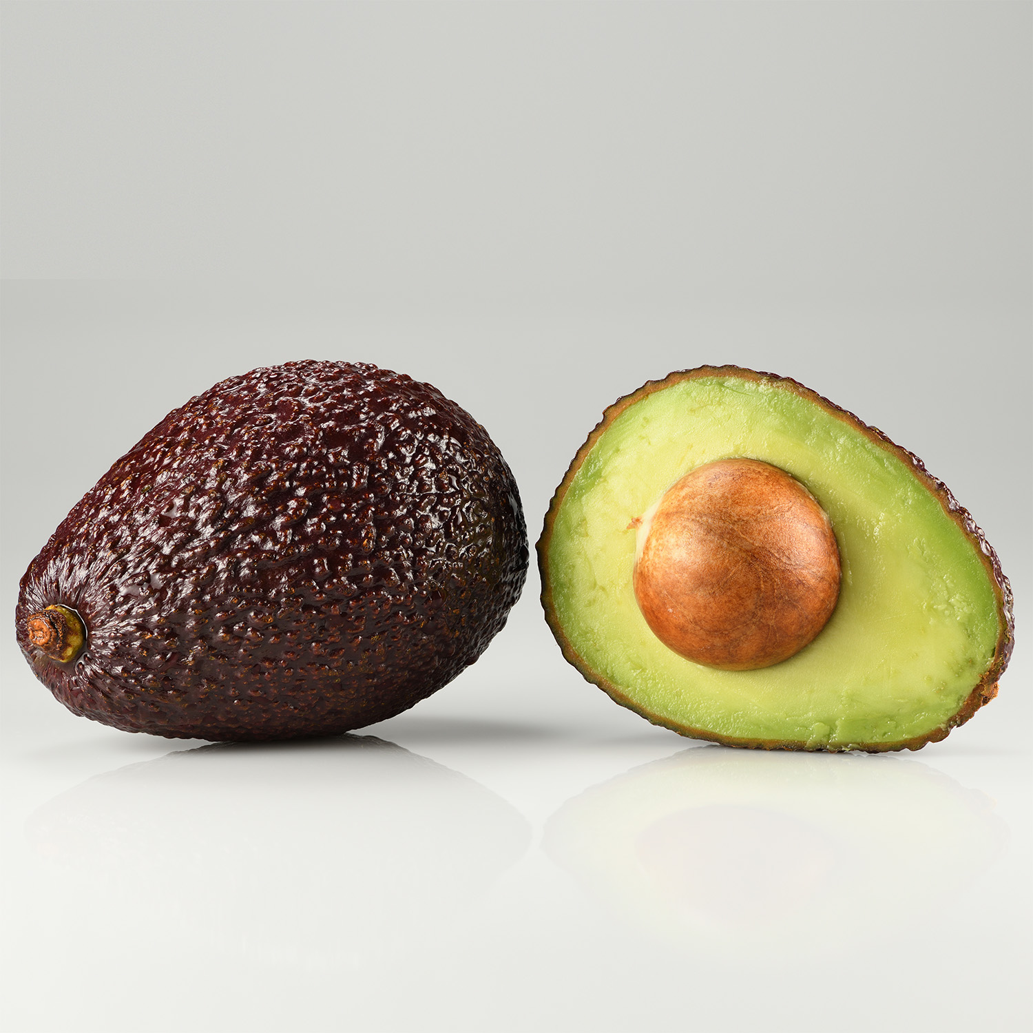 Aguacate 'Hass' : venta Aguacate 'Hass' / Persea americana 'Hass'