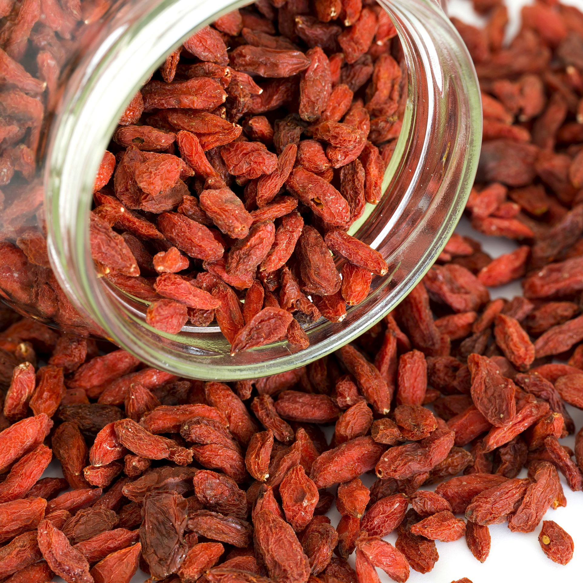 Goji : venta Goji / Lycium barbarum
