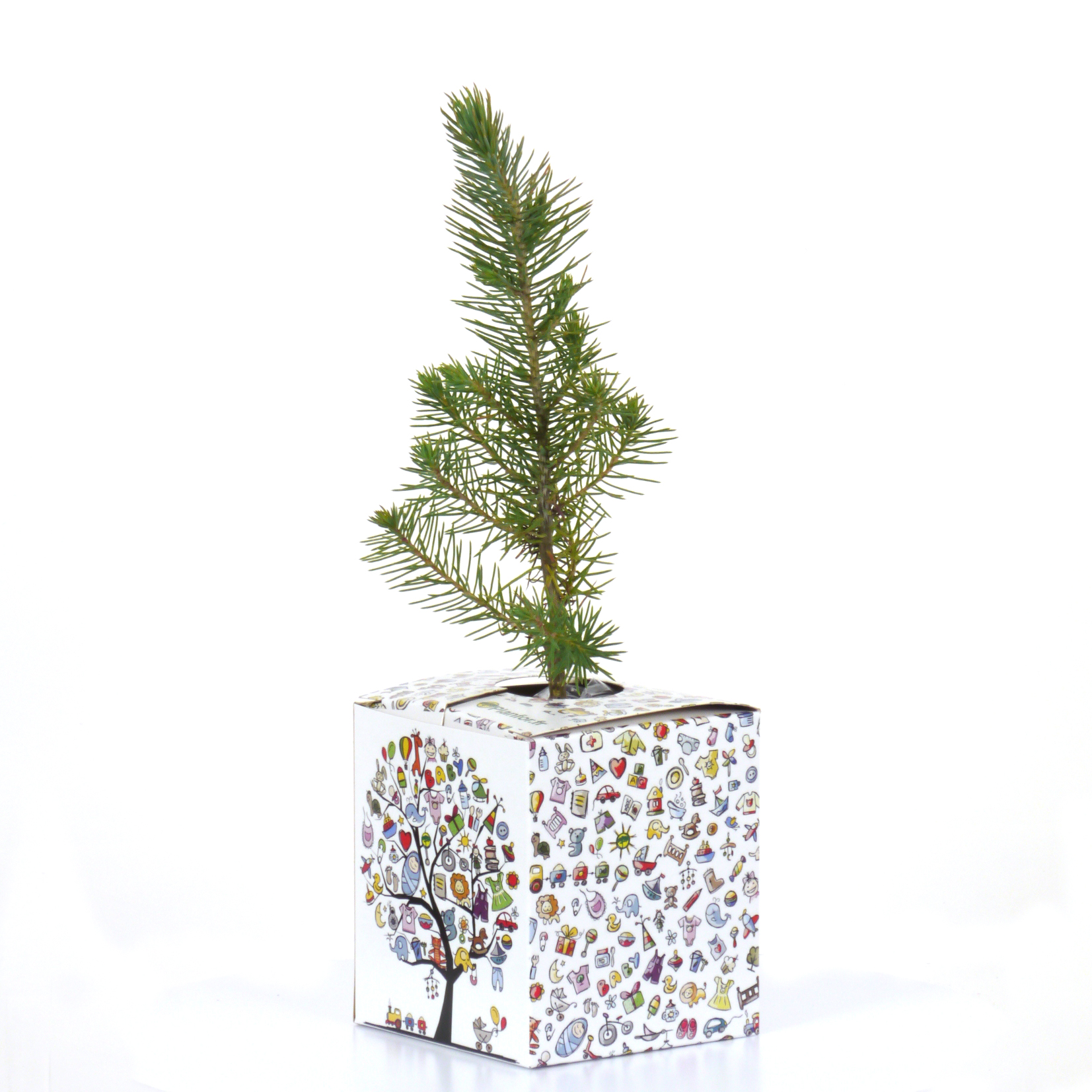 Bebé Pino para un nacimiento o bautizo : venta Bebé Pino para un ...