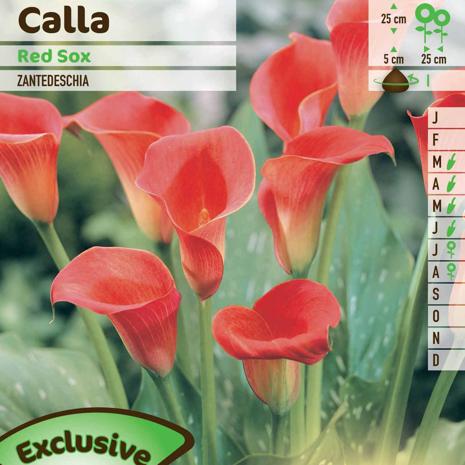 Cala 'Rojo' : venta Cala 'Rojo'