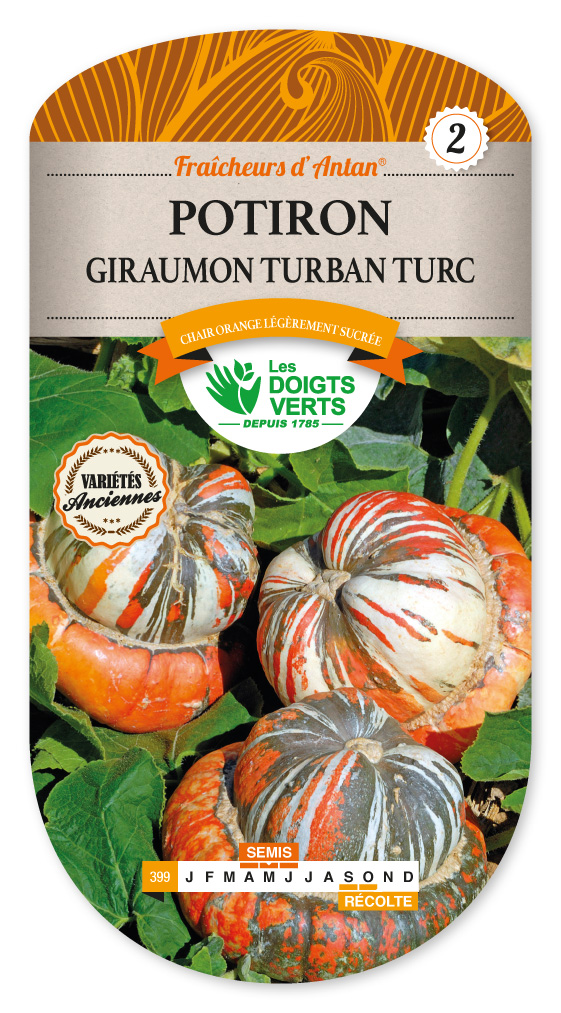 Calabaza Giraumon Turban Turc : venta Calabaza Giraumon Turban Turc
