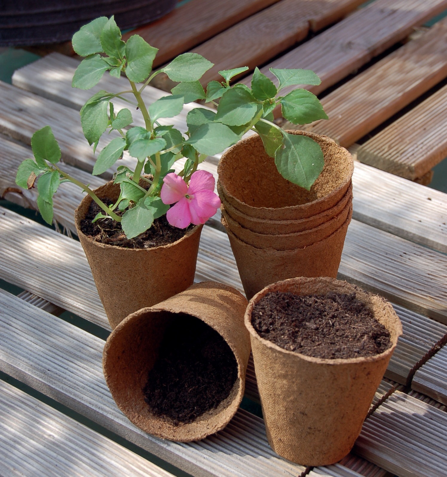 Macetas biodegradables redondas : venta Macetas biodegradables redondas