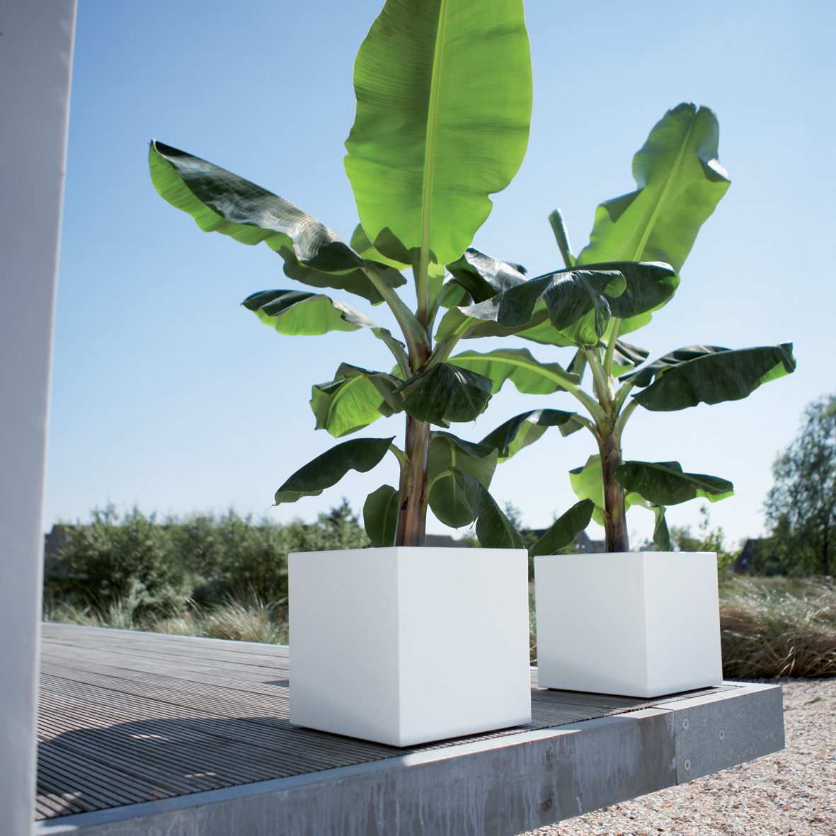 Pure Square – 40x40 A39 – Antracita - Elho : venta Pure Square – 40x40 ...