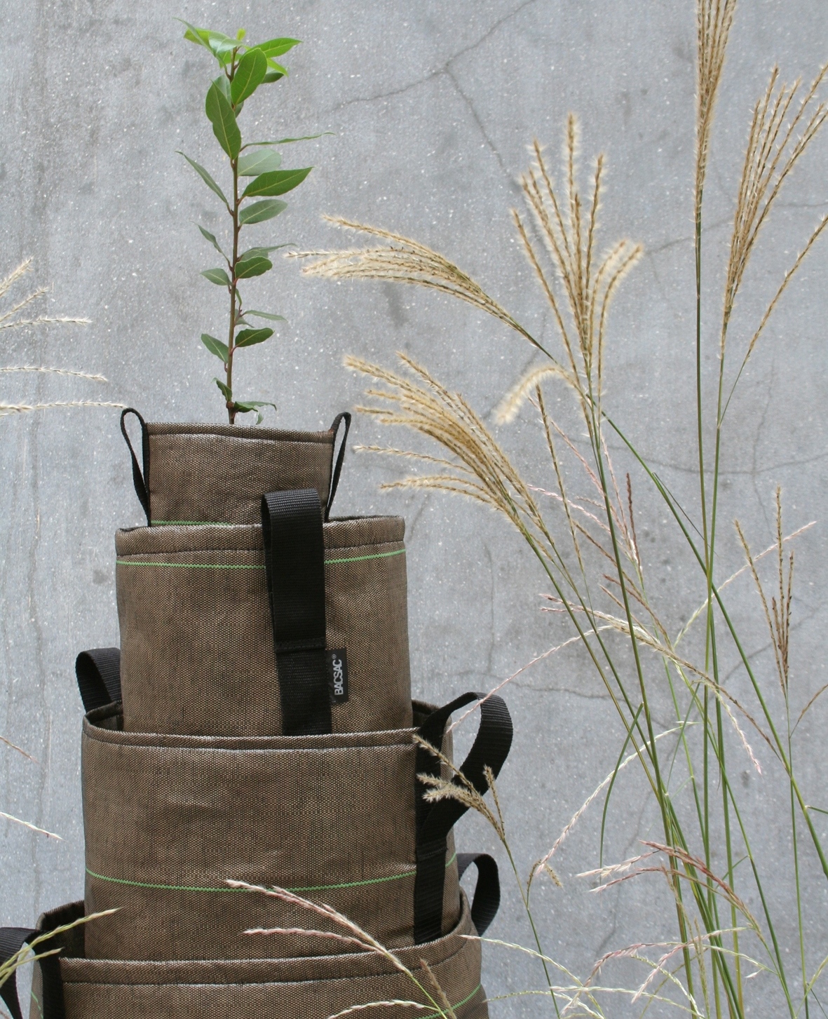 Maceta en geo-textil 10L - Bacsac : venta Maceta en geo-textil 10L ...