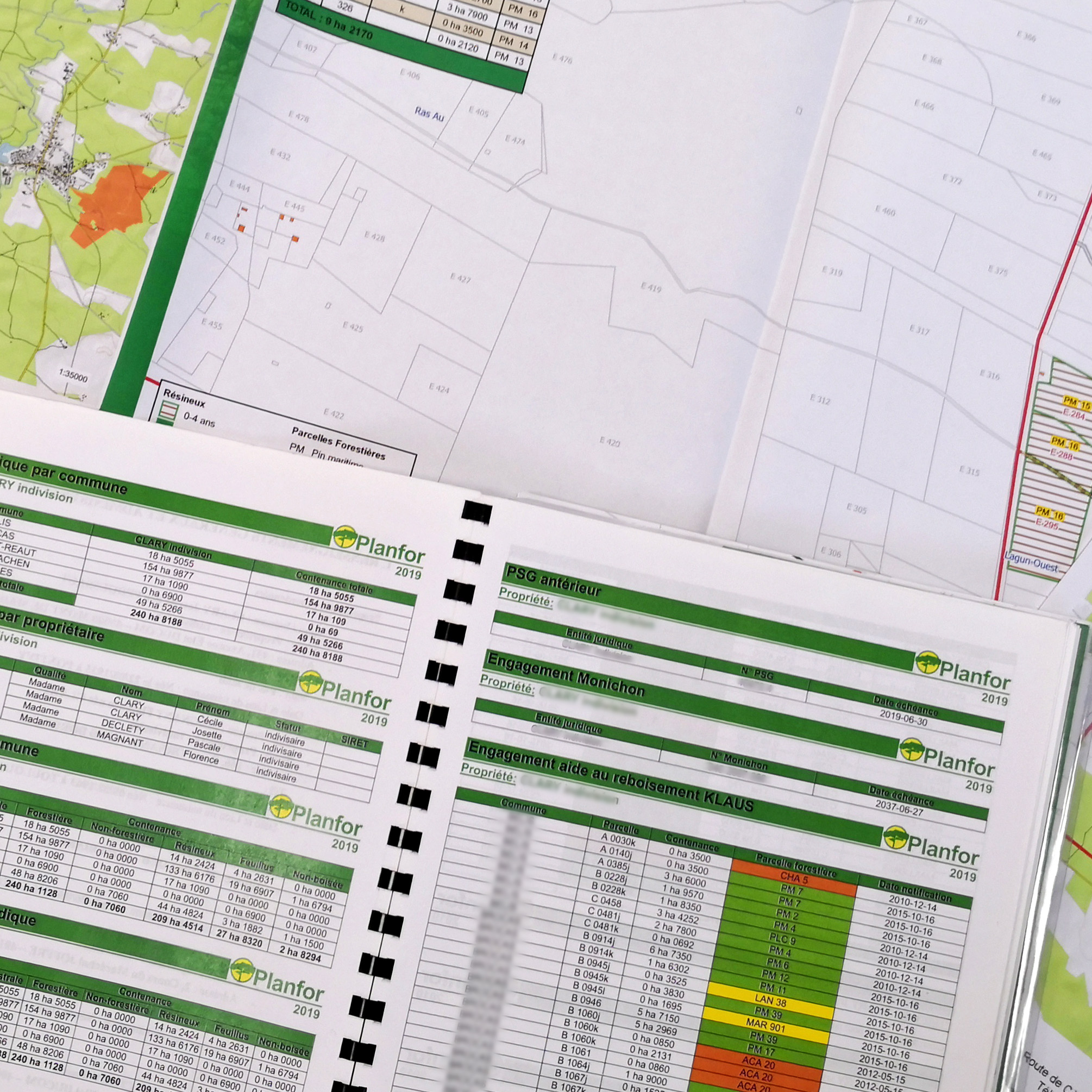Plan de gestión simple (PGS): ¿Necesita de una empresa?
